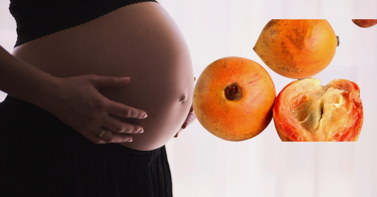 ‘Alasa’ (African Star Apple): Best fruit for pregnant women and ...