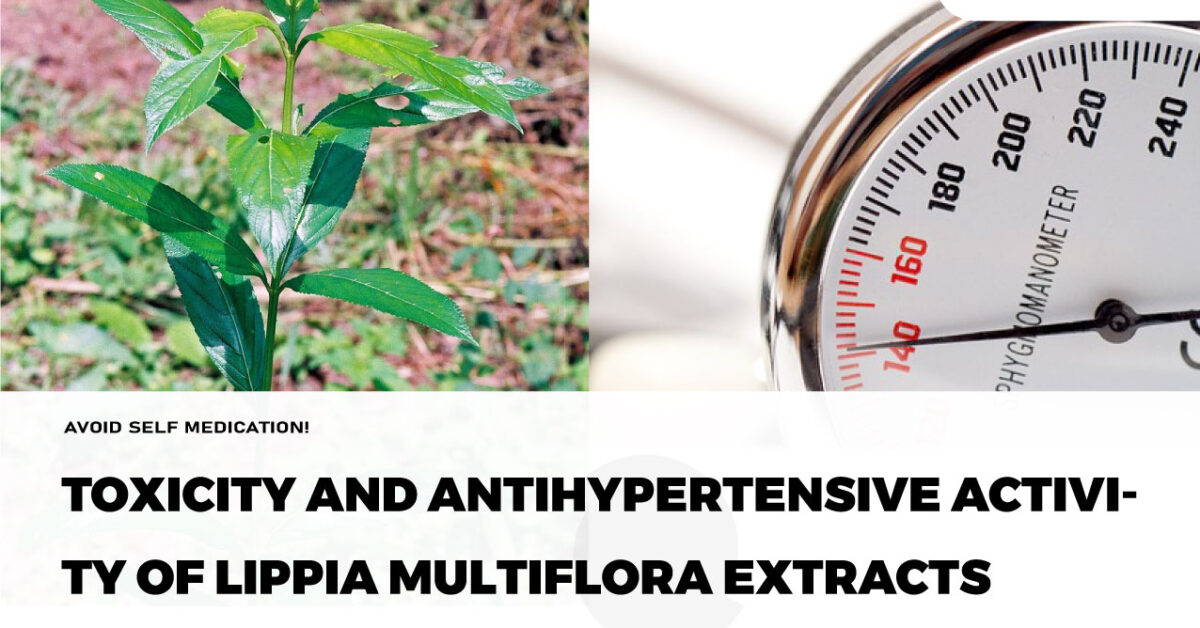Toxicity And Antihypertensive Activity Of Lippia Multiflora Extracts ...