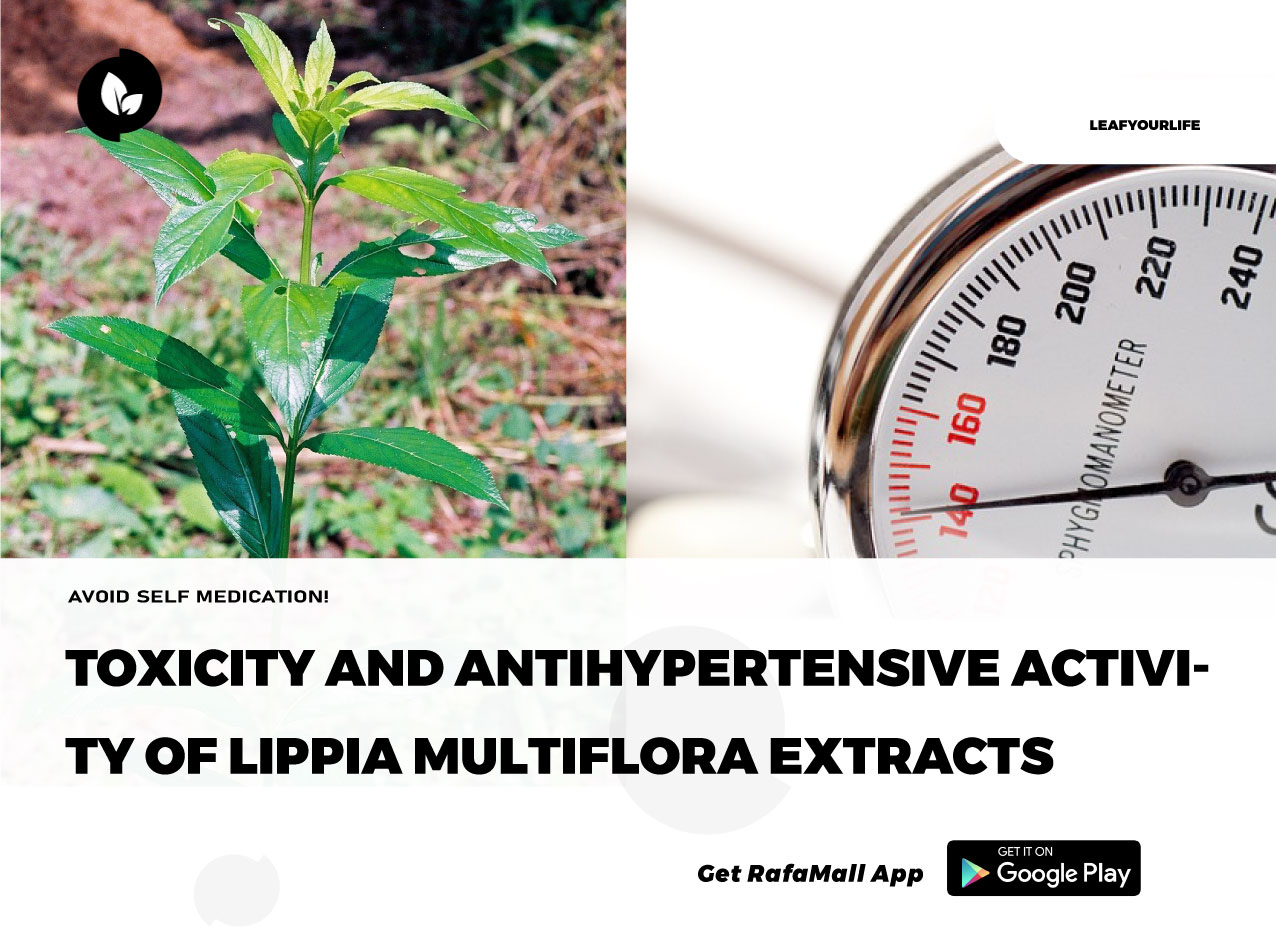Toxicity And Antihypertensive Activity Of Lippia Multiflora Extracts ...