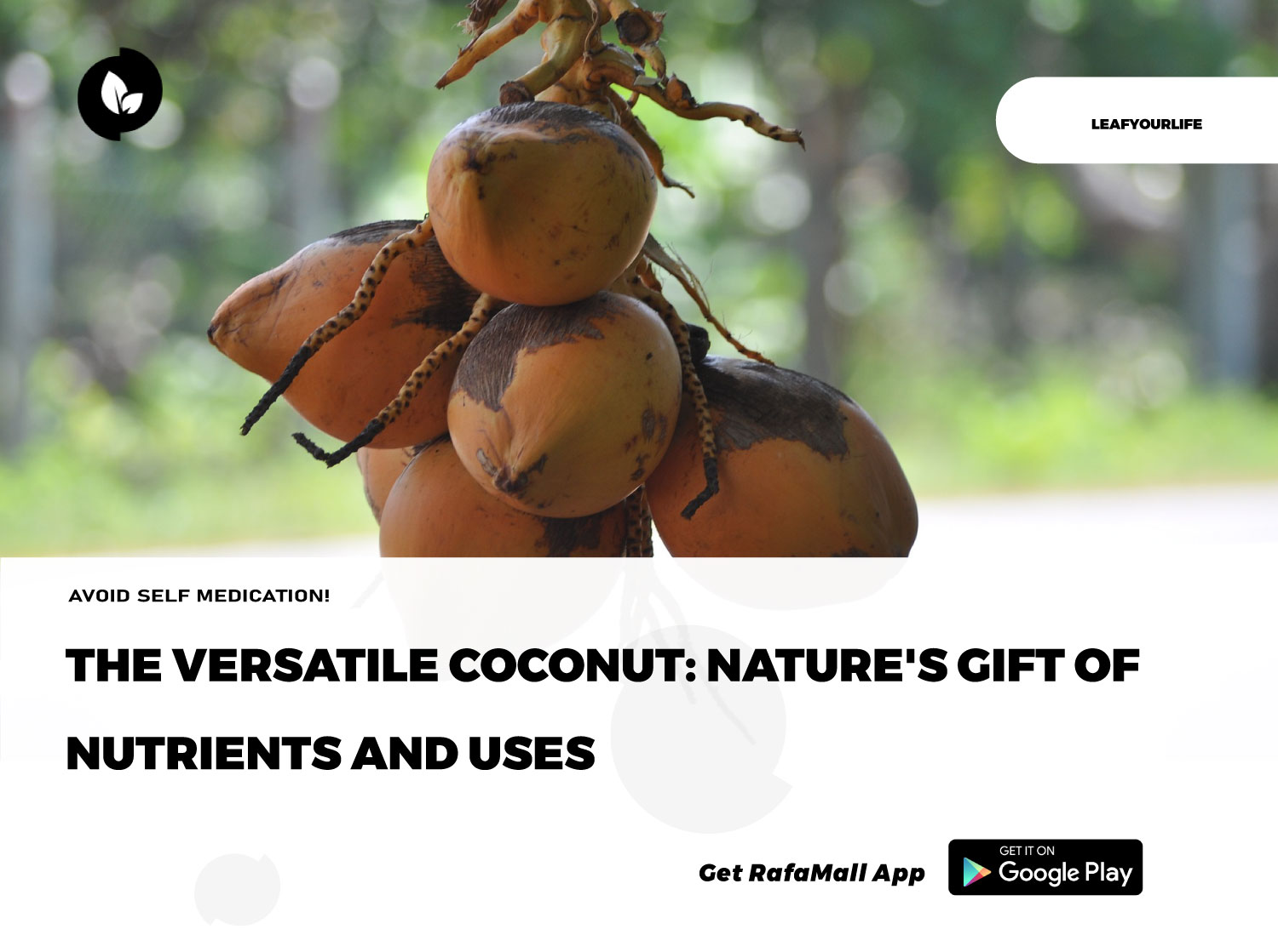 The Versatile Coconut: Nature's Gift of Nutrients and Uses - Rafamall