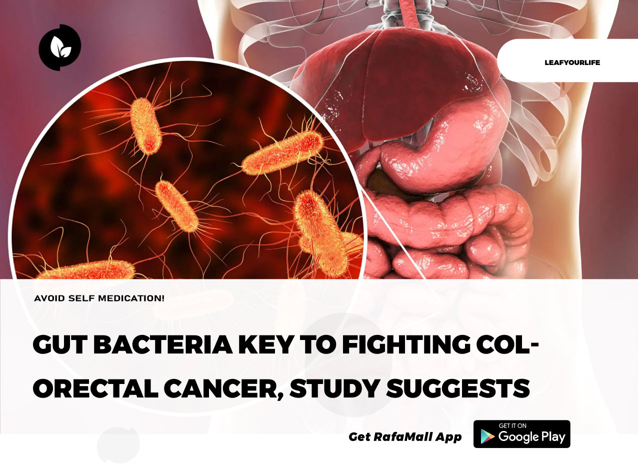 Gut bacteria key to fighting colorectal cancer, study suggests - Rafamall