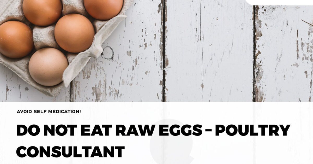 Do not eat raw eggs – Poultry Consultant - Rafamall