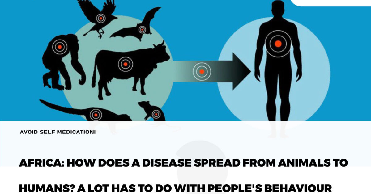 Africa: How Does a Disease Spread From Animals to Humans? A Lot Has to ...